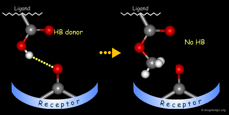Structure Activity Relationships - Drug Design Org